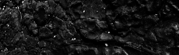 Biochar, Torrefaction, Biomass Pyrolysis - EconSight