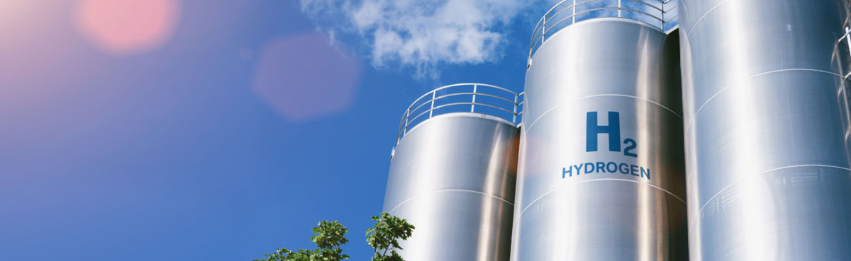 Green and Blue Hydrogen Production - EconSight