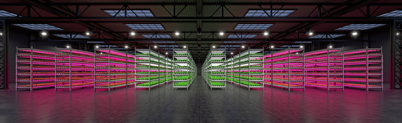 Vertical Farming - EconSight